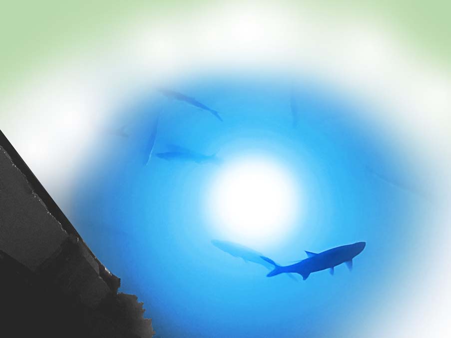 Underwater Dock Lights | Underwater Fish Lights - Incredible Underwater ...