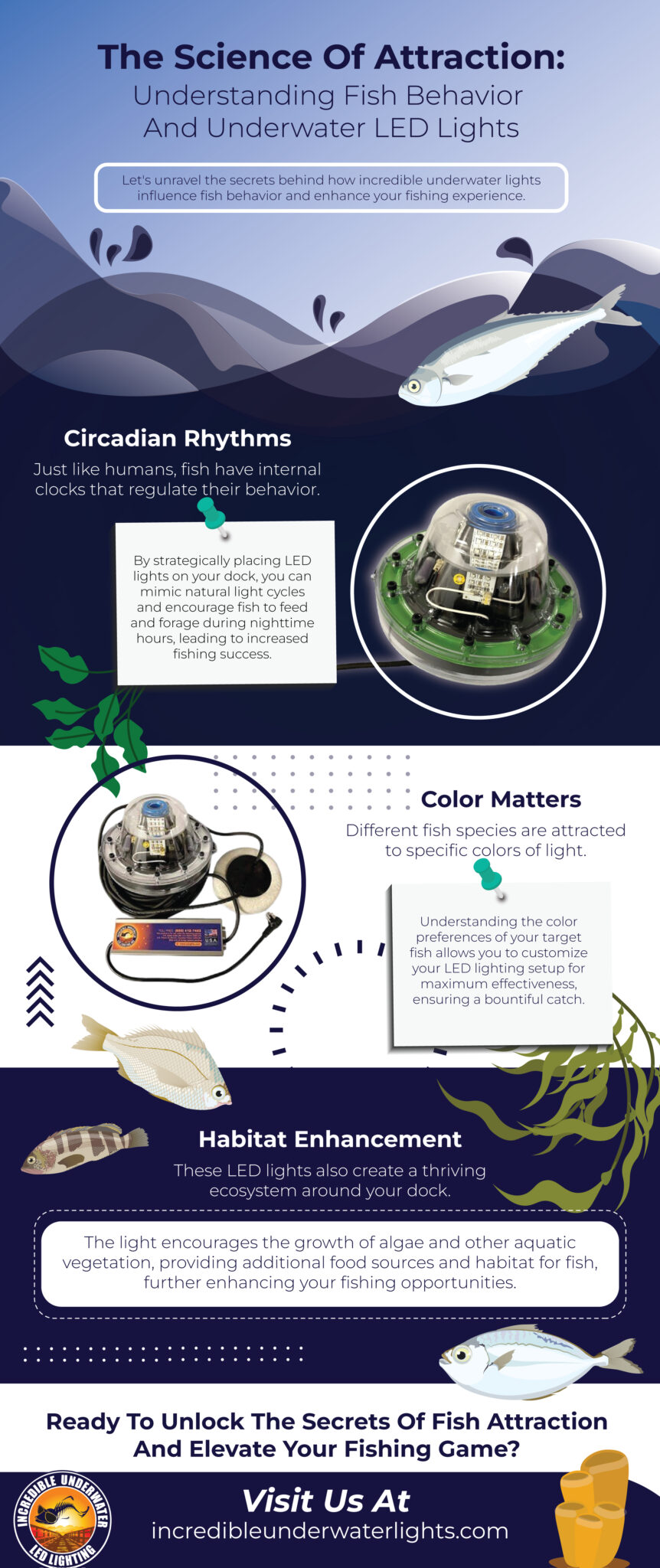 The Science Of Attraction: Understanding Fish Behavior And Underwater ...